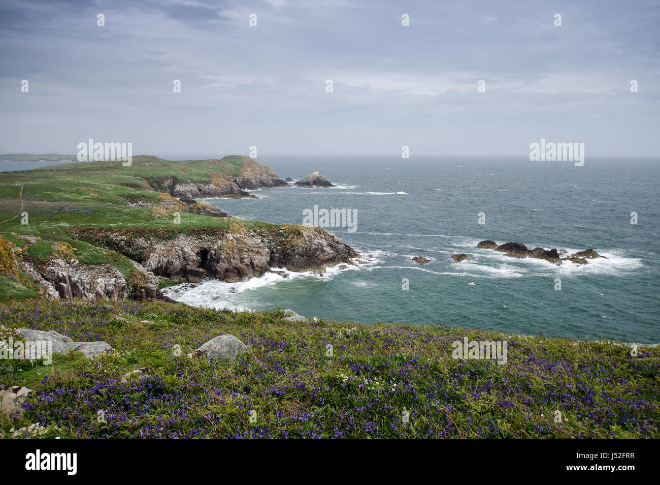 Island in spring hi-res stock photography and images - Alamy