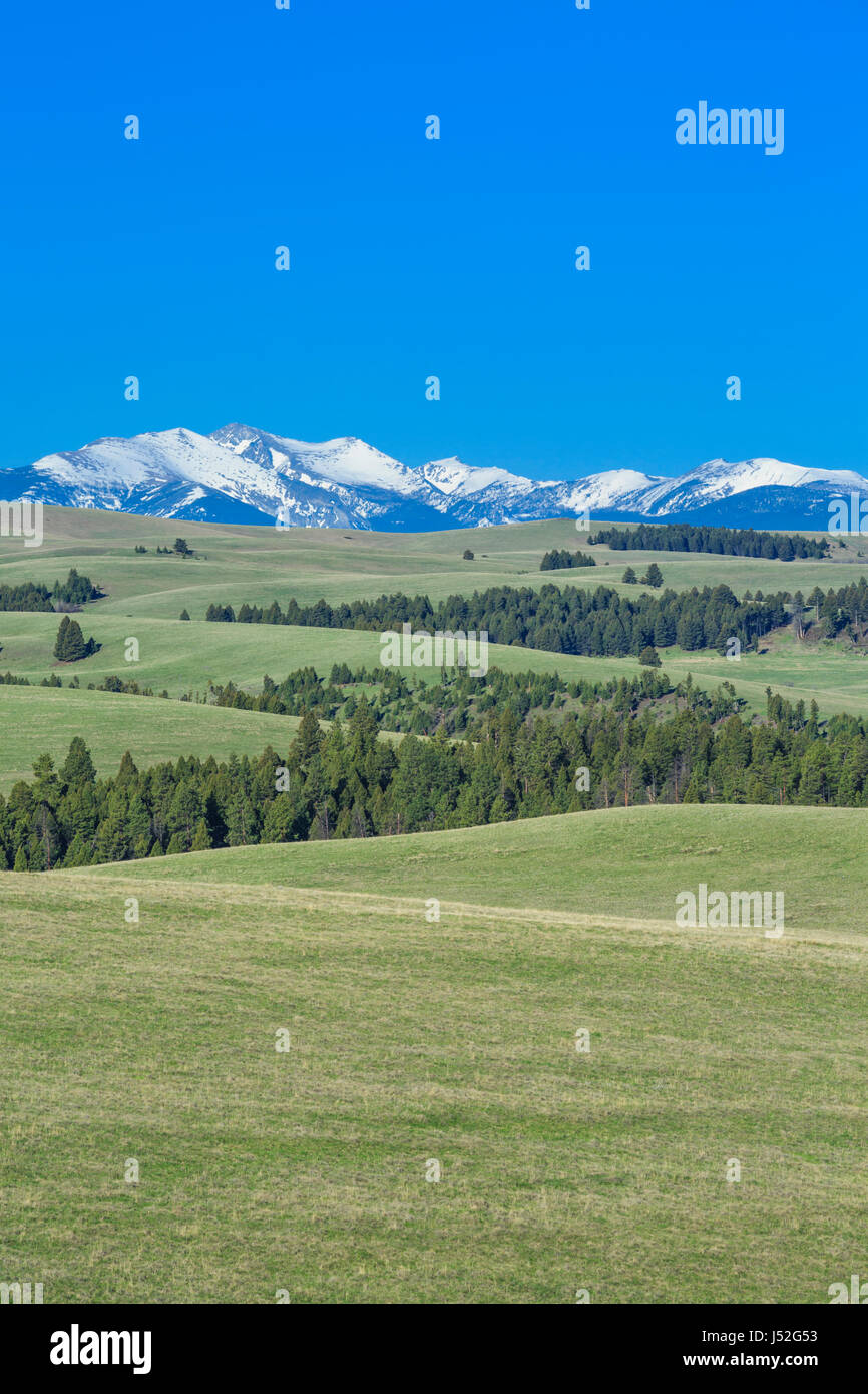 peaks of the flint creek range above meadows of upper spotted dog creek ...