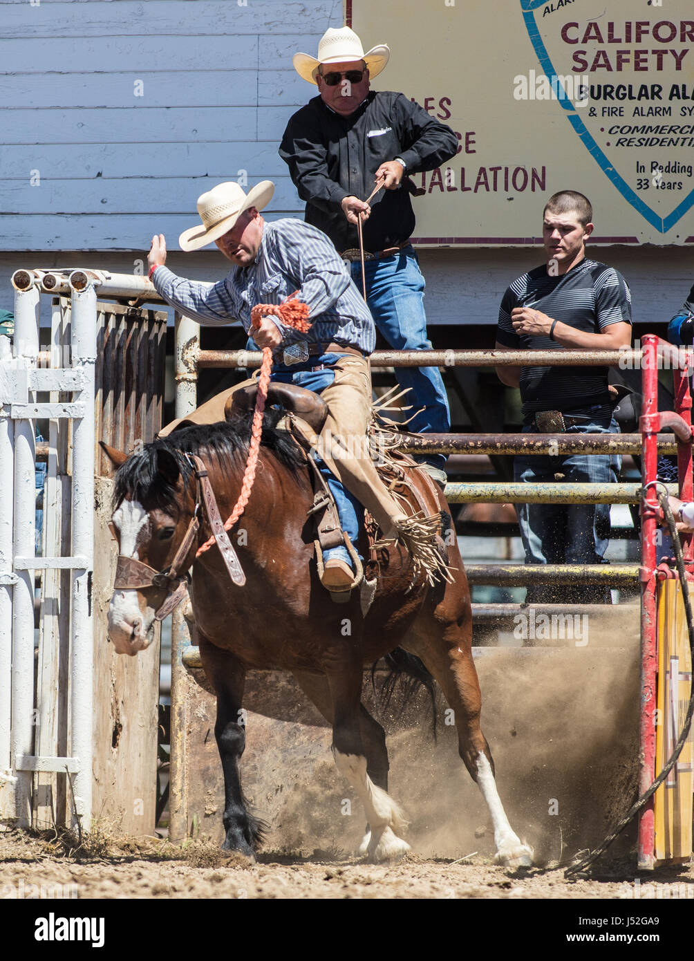Bronc rider hi-res stock photography and images - Alamy