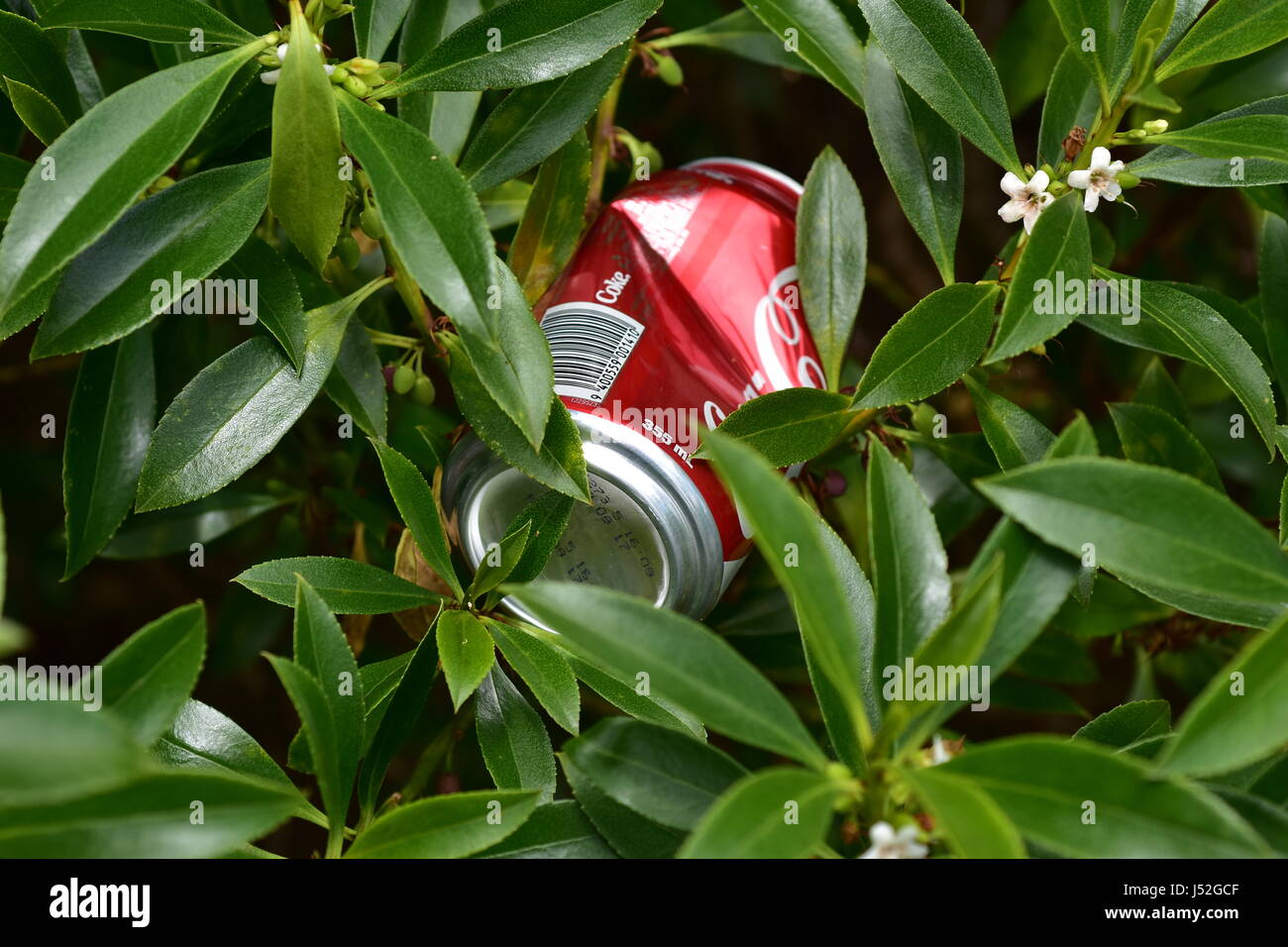 Coca cola can crushed hi-res stock photography and images - Alamy