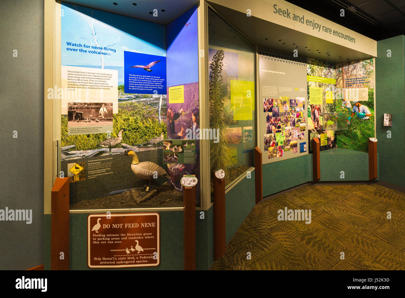 Interpretive displays at the visitor center, Hawaii Volcanoes National ...