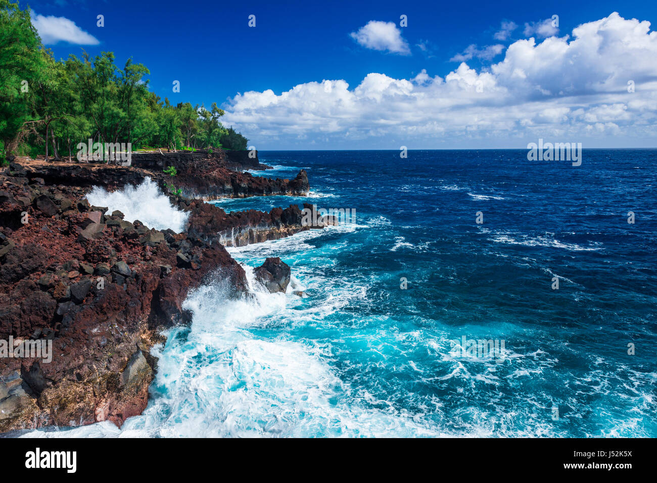 Rocky coastline at MacKenzie State Park, Pahoa, The Big Island, Hawaii ...