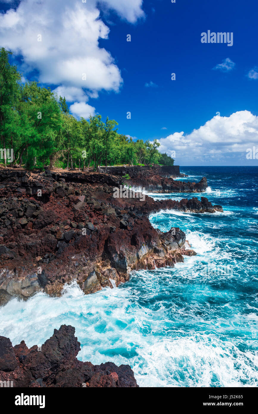 Mackenzie state park hawaii hi-res stock photography and images - Alamy