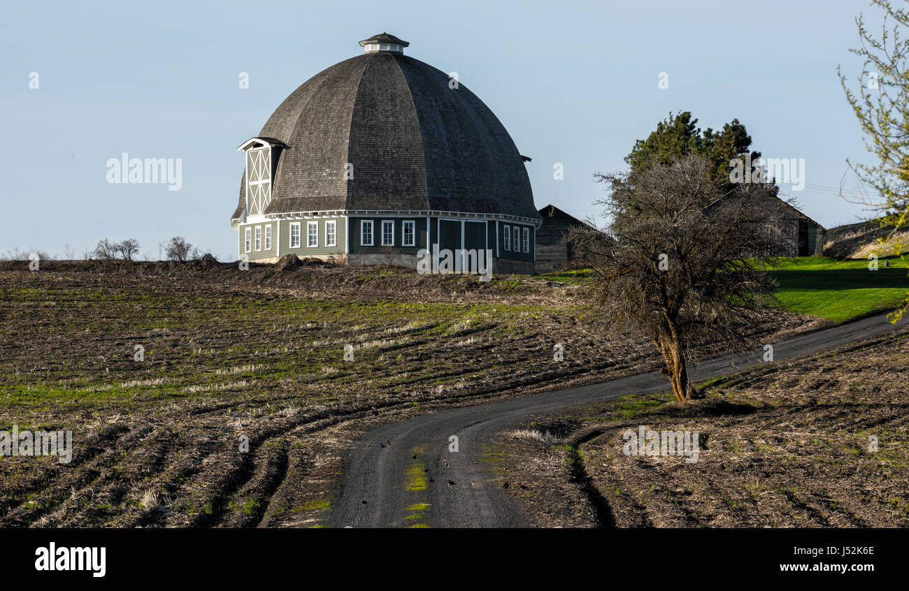 Farm barn with unique shape in Wahington State Stock Photo - Alamy