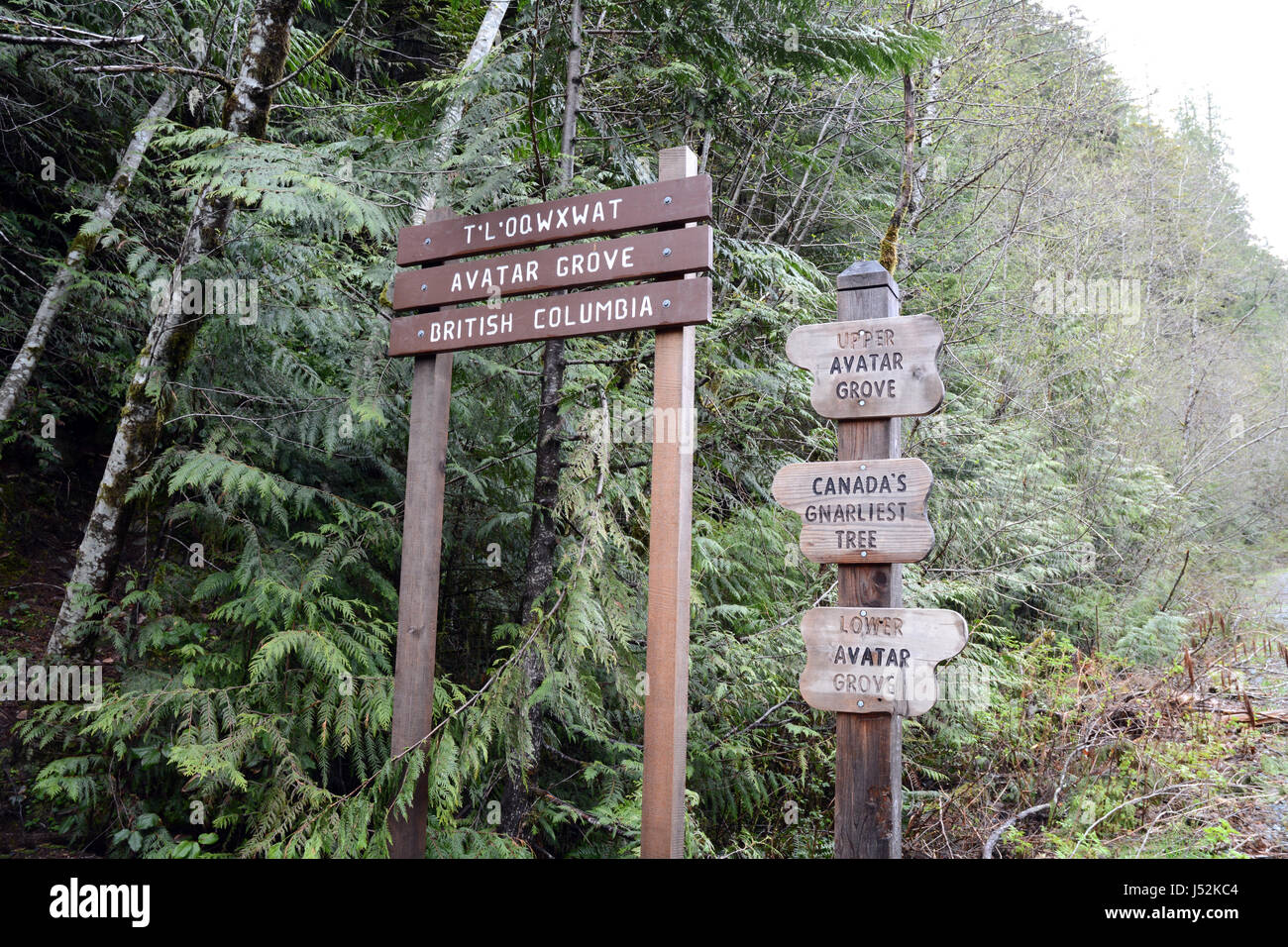 Signs showing the entrance to Avatar Grove, a protected ancient old ...