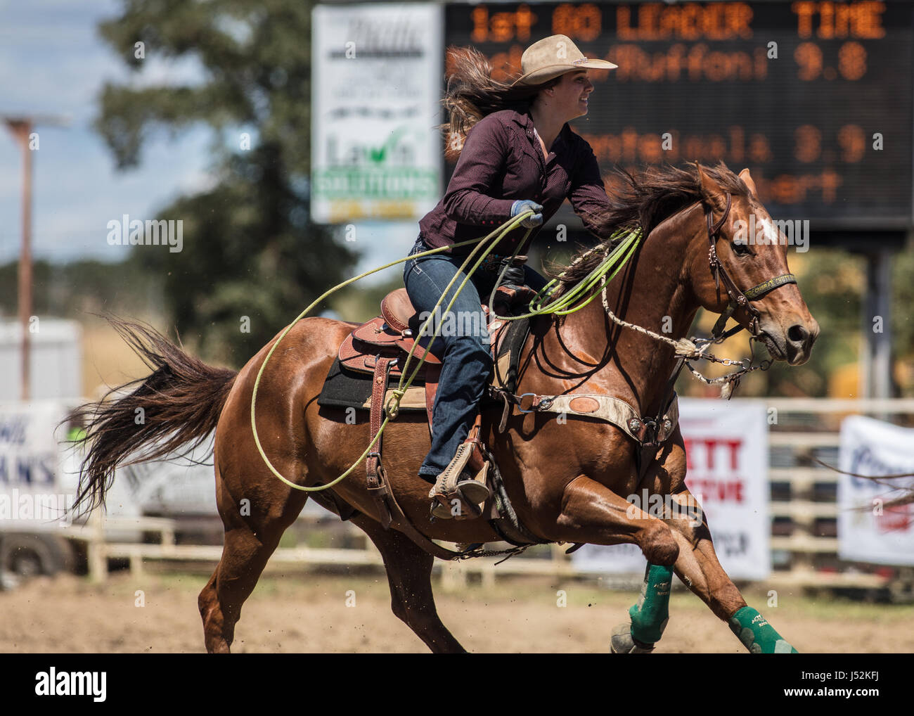Calf roping cowgirl at the Cottonwood Rodeo in California Stock Photo ...