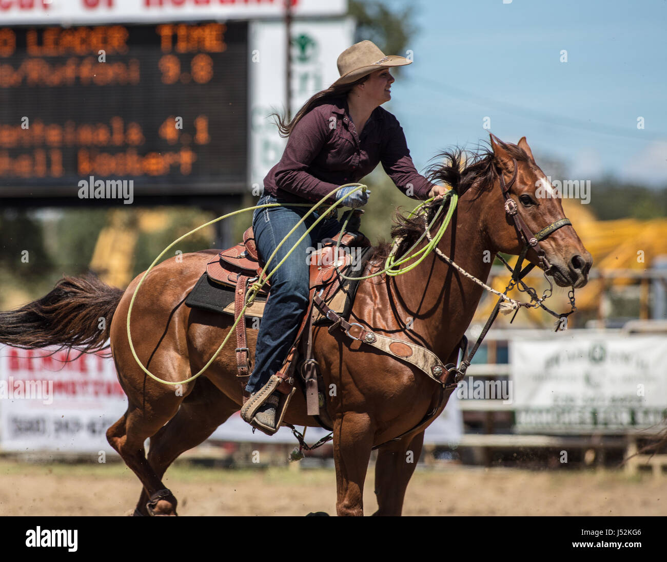 Calf roping cowgirl at the Cottonwood Rodeo in California Stock Photo ...