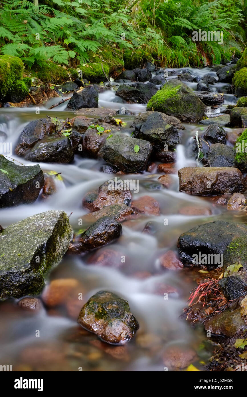 Fujifilm x e1 hi-res stock photography and images - Alamy