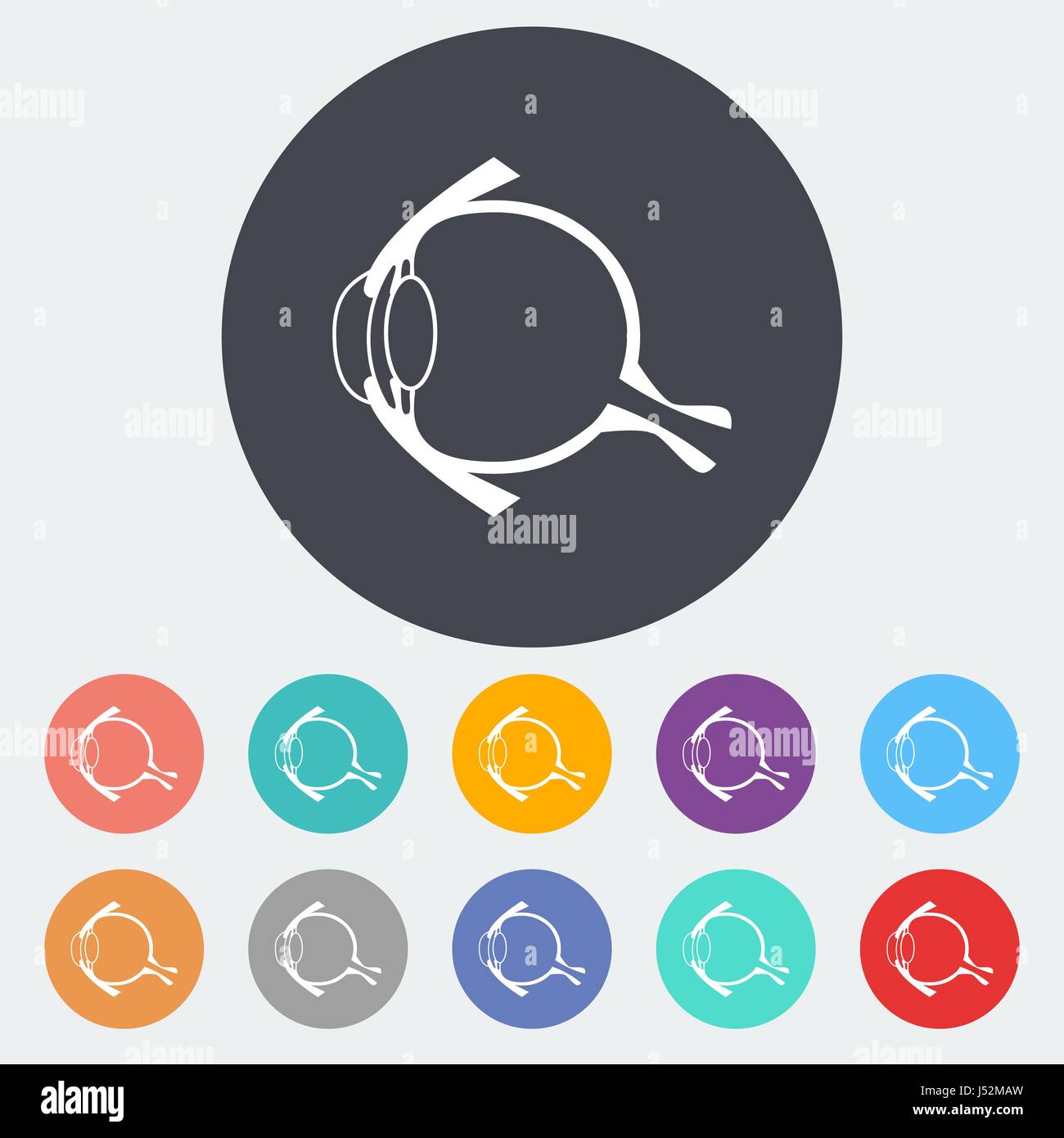 Anatomy eye. Single flat icon on the circle. Vector illustration Stock ...