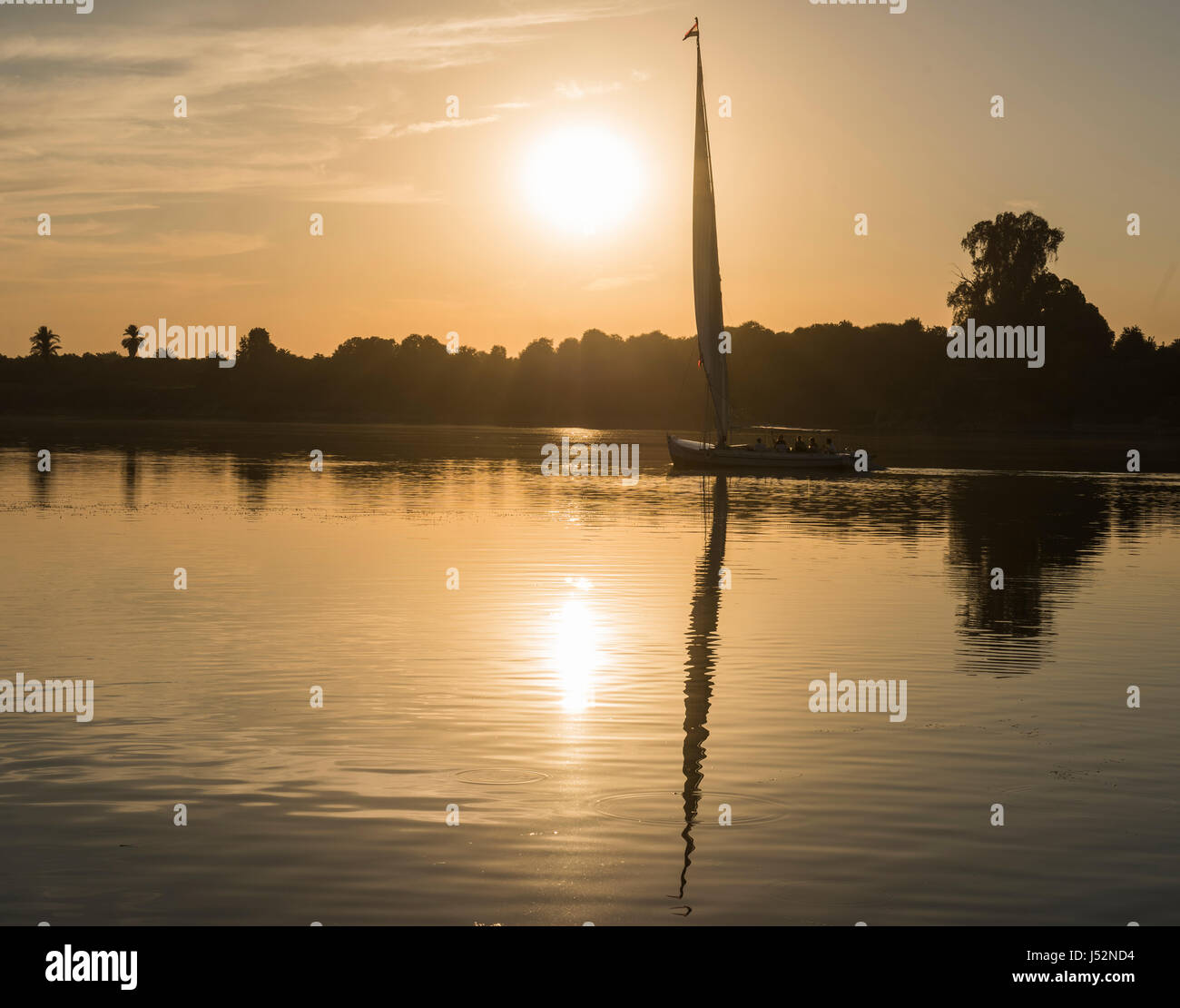 Traditional egyptian felluca sailing boat on river Nile in silhouette ...