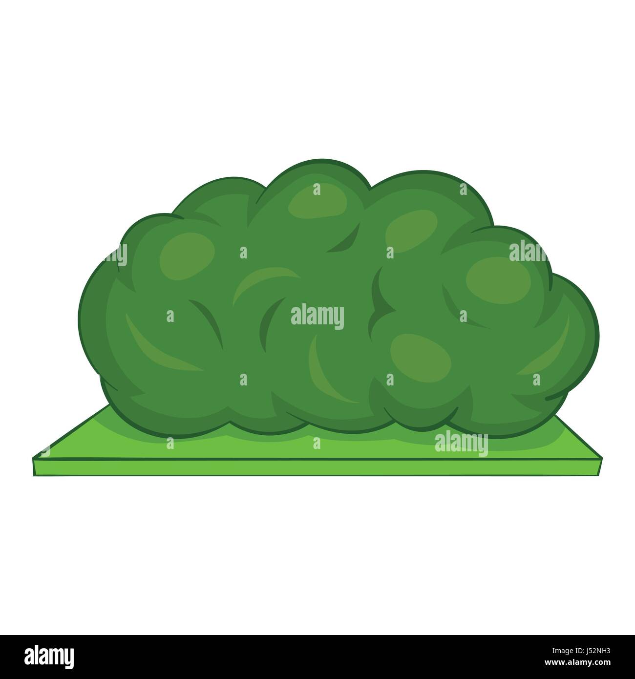 Bush icon. Cartoon illustration of bush vector icon for web Stock ...