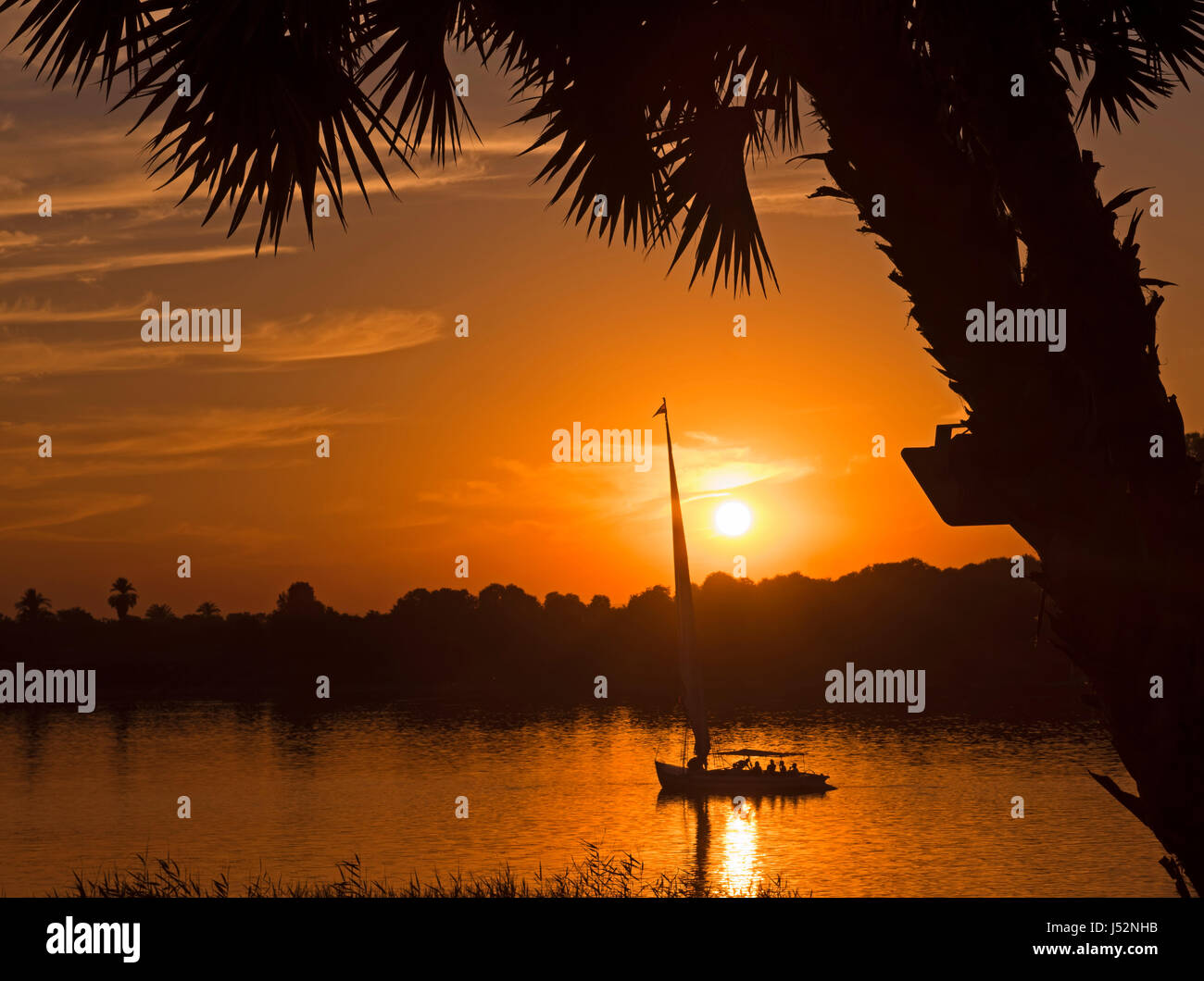 Traditional egyptian felluca sailing boat on river Nile in silhouette ...