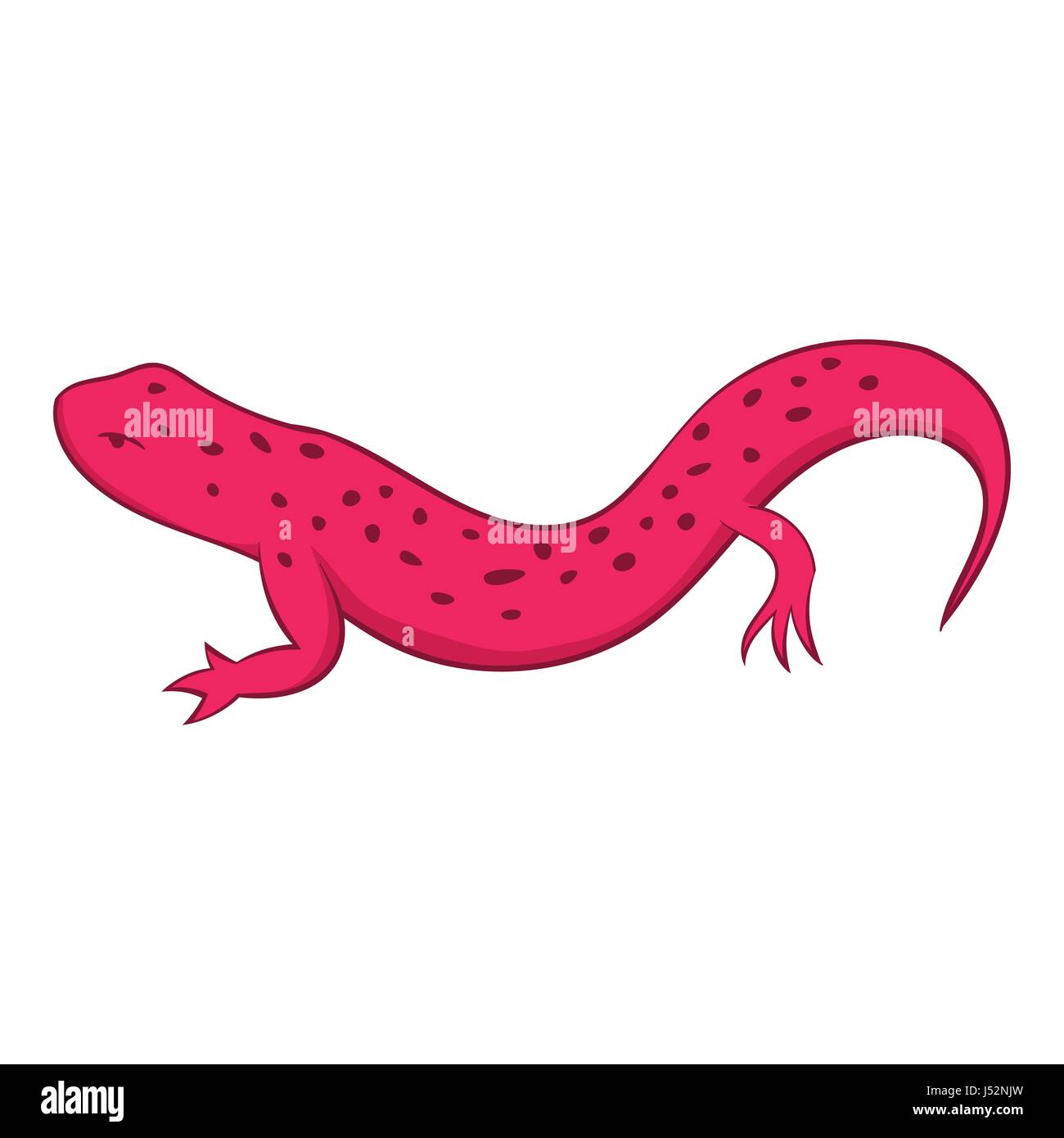 Pink Iguana High Resolution Stock Photography and Images - Alamy