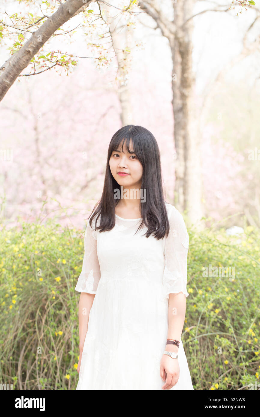 Asian girl in spring time Stock Photo - Alamy