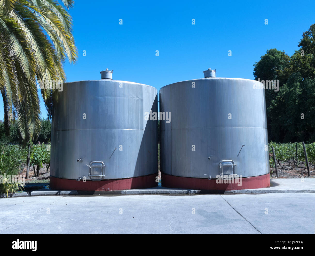 Maule valley wine hi-res stock photography and images - Alamy