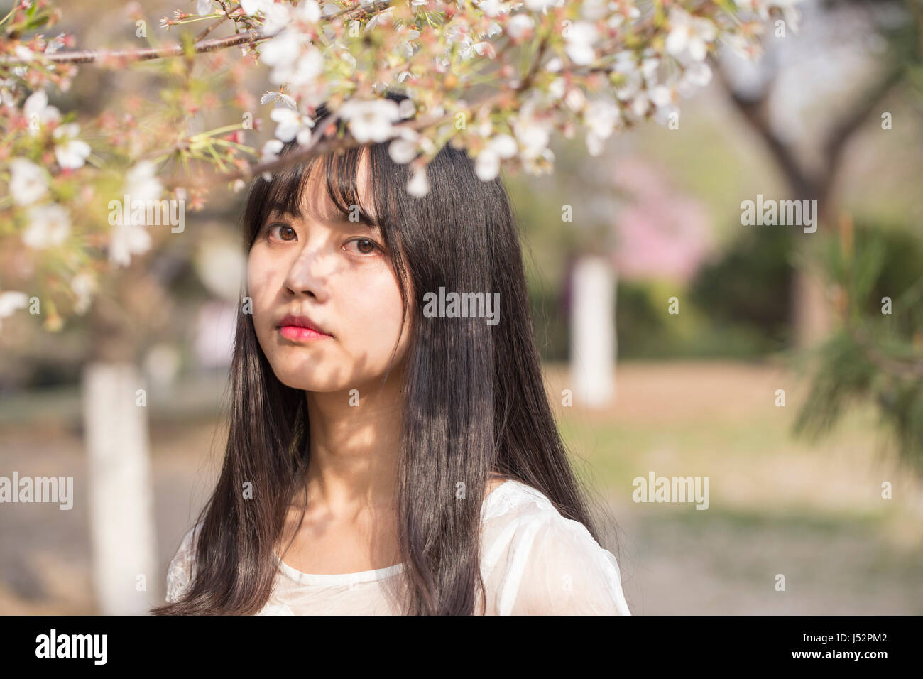 Beautiful girl in spring time. Smiling, Asia, Outdoors, Springtime ...