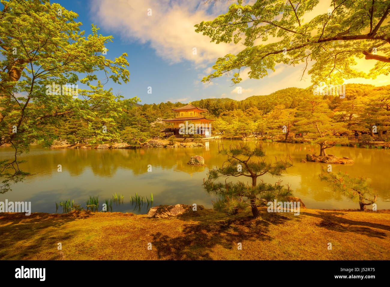 Golden Pavilion at sunset Stock Photo - Alamy