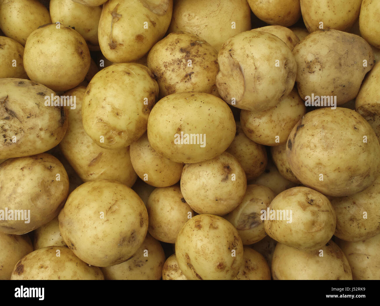 Pile of potatoes Stock Photo - Alamy