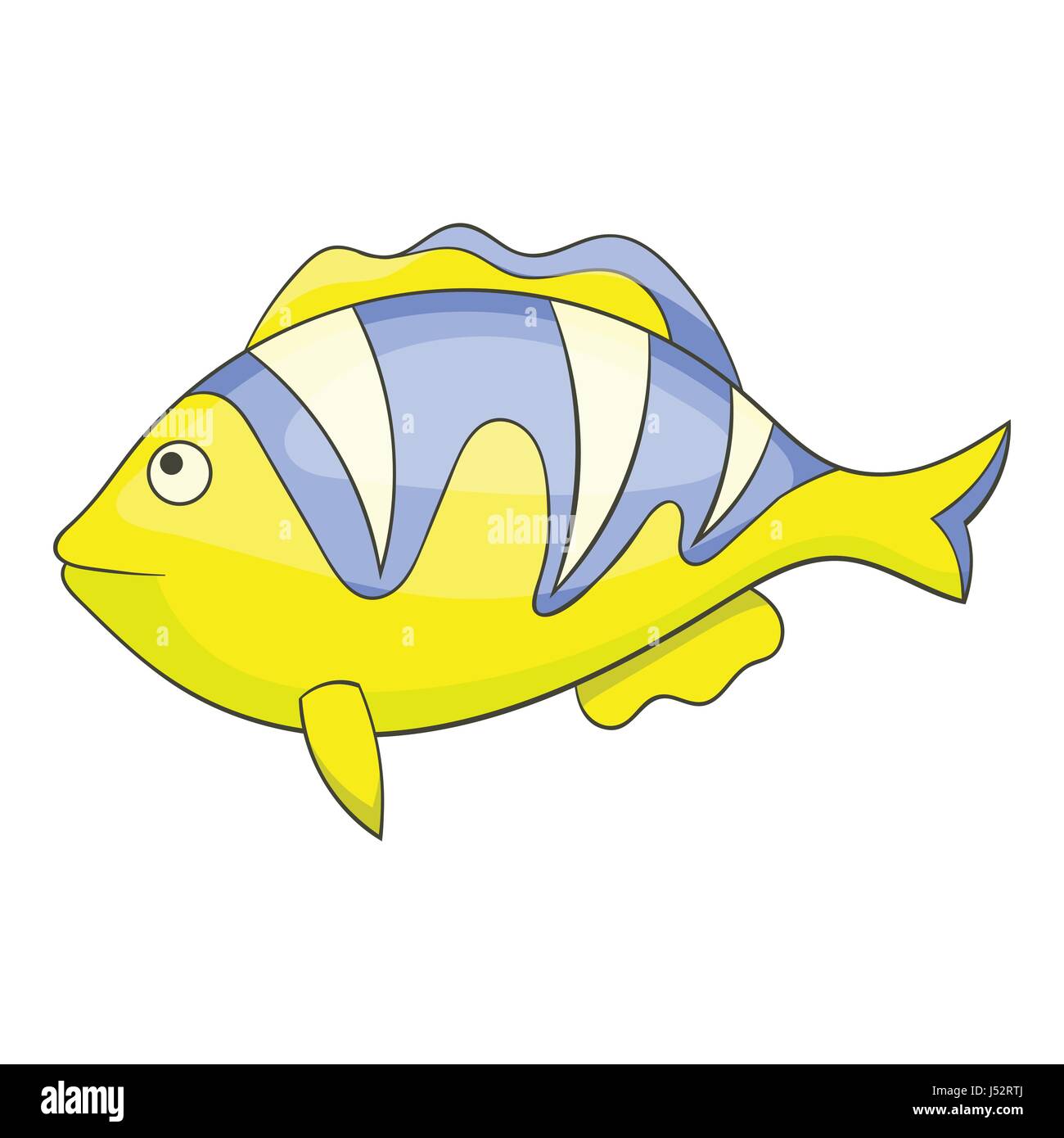 Indian ocean marine life Stock Vector Images - Alamy