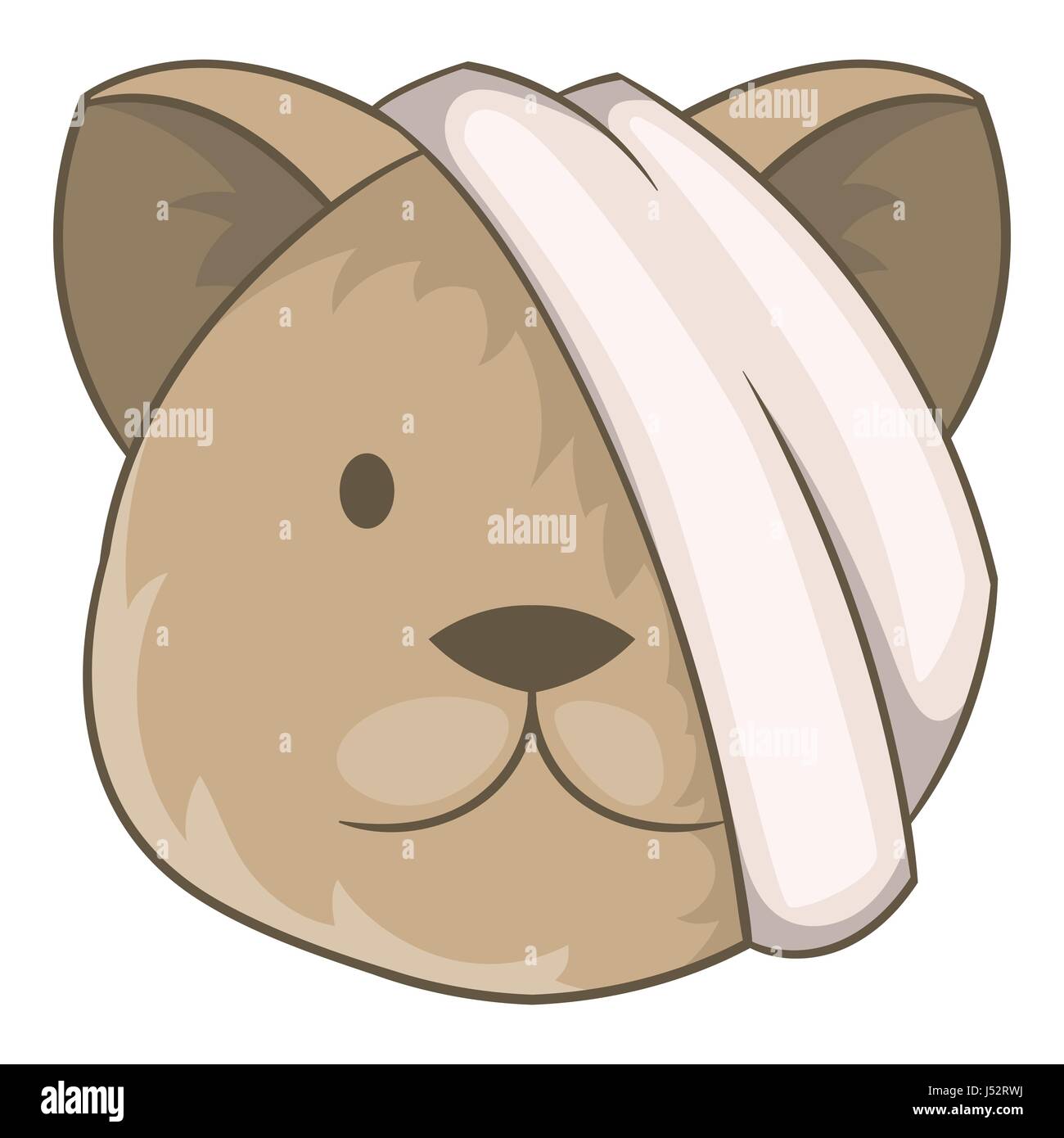 Domestic cat bandage Cut Out Stock Images & Pictures - Alamy