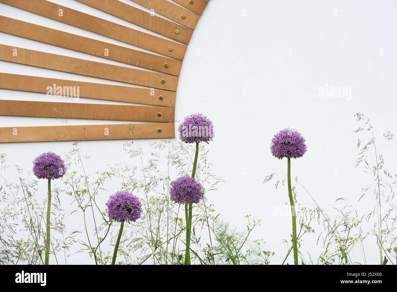 Molecular Garden abstract. RHS Malvern spring show 2017. Designed by ...