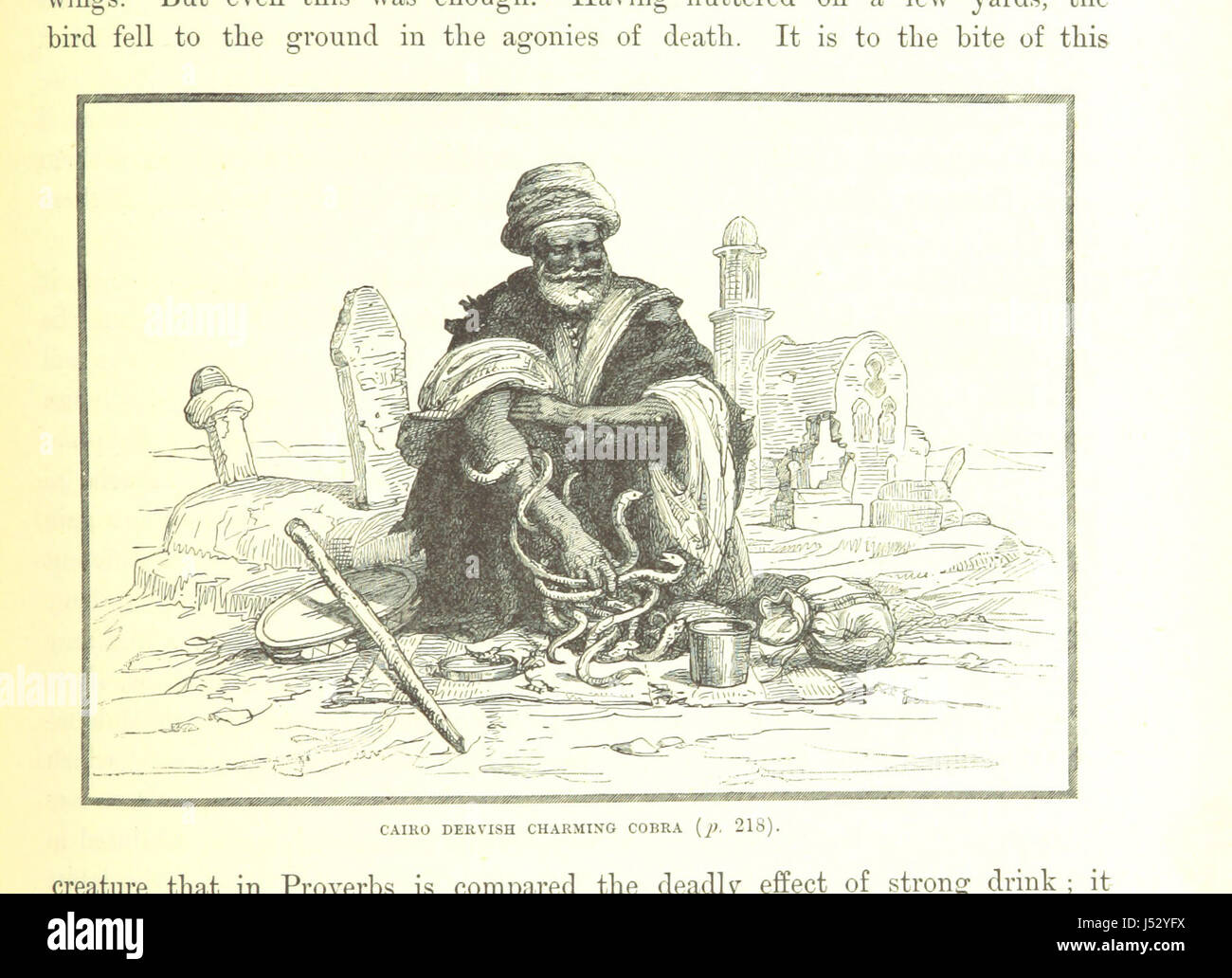 [The Holy Land and the Bible. A book of Scripture illustrations ...