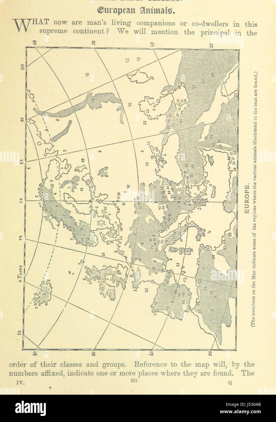 A detailed exploration of the world's inhabitants, covering humans ...