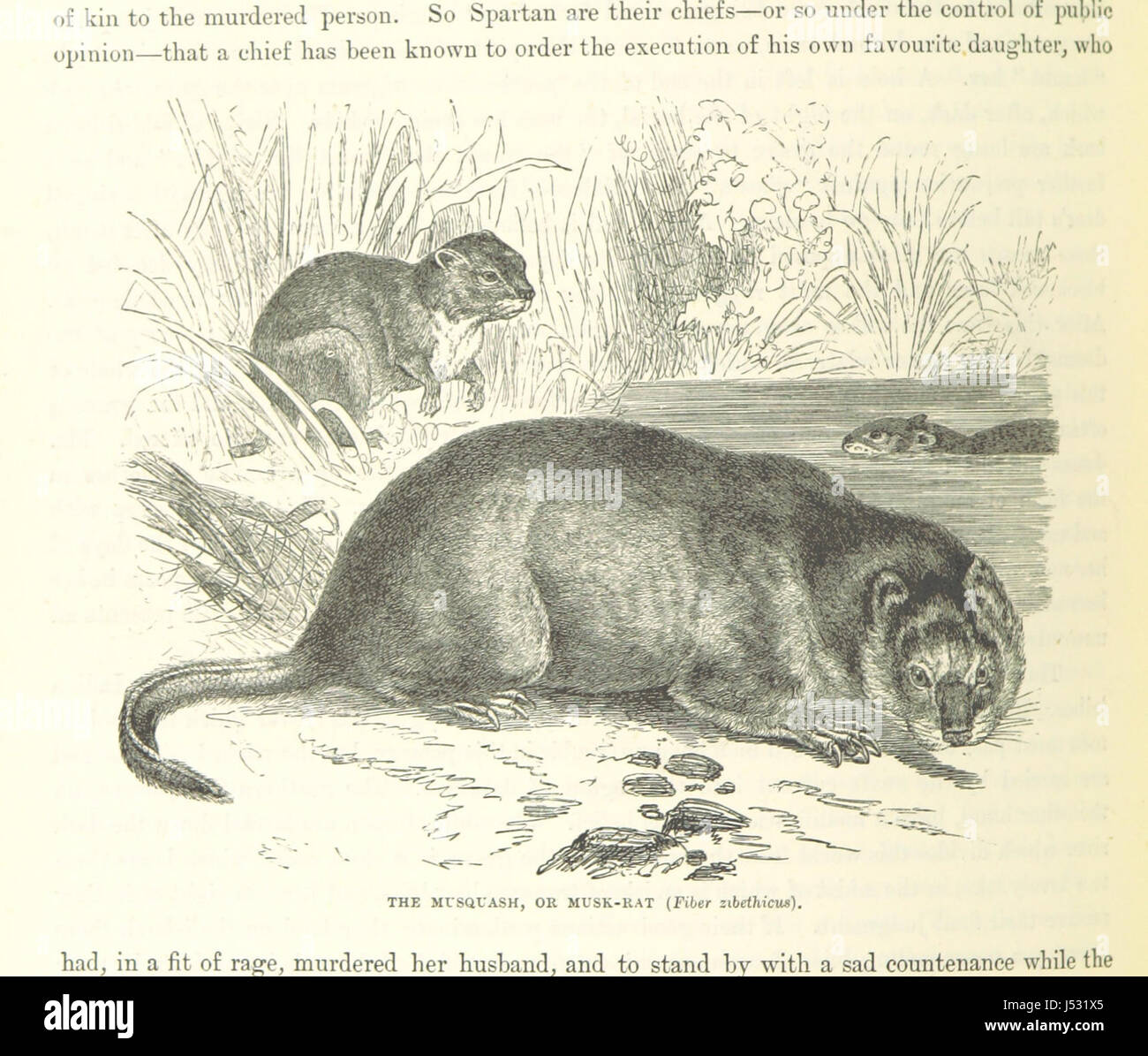 [The Peoples of the World: being a popular description of the ...