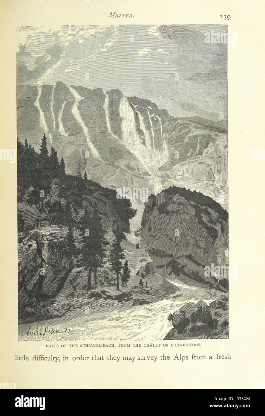 This work provides a detailed view of Switzerland's natural landscape ...