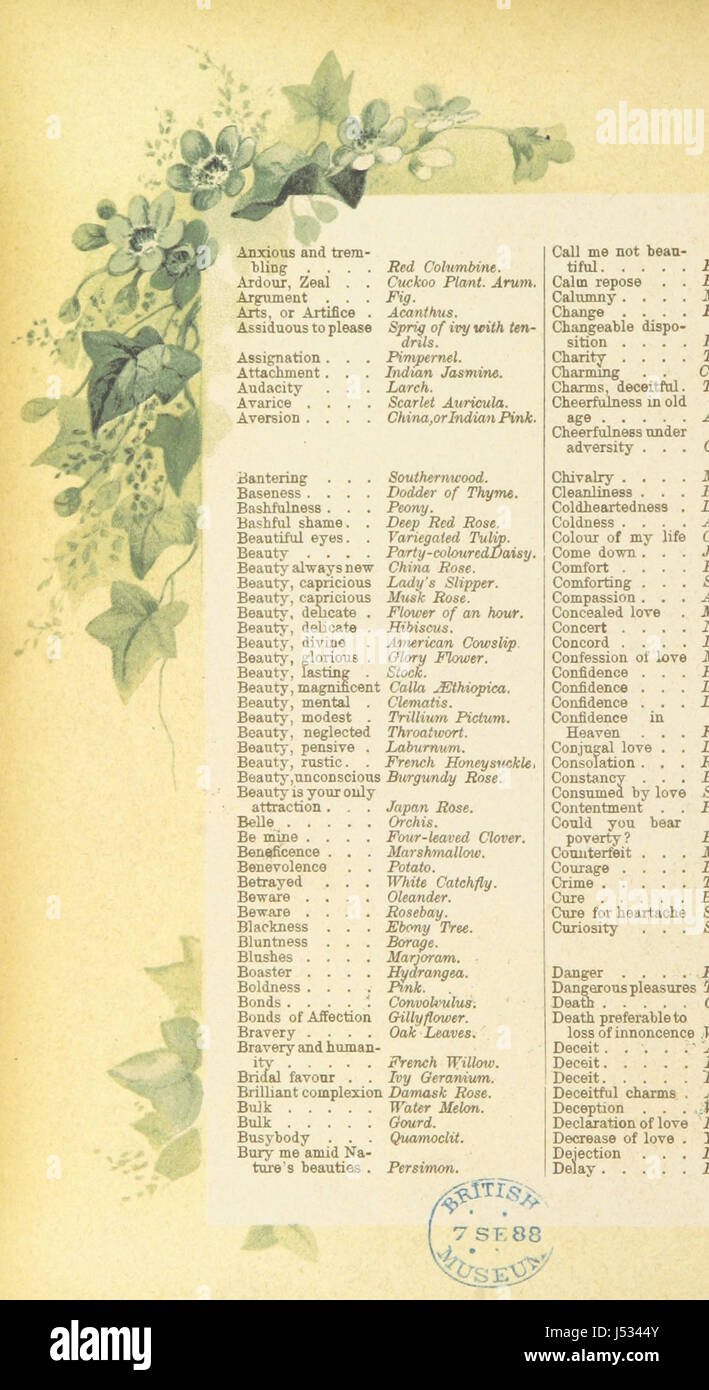 Artistic language flowers illustrations image hi-res stock photography ...