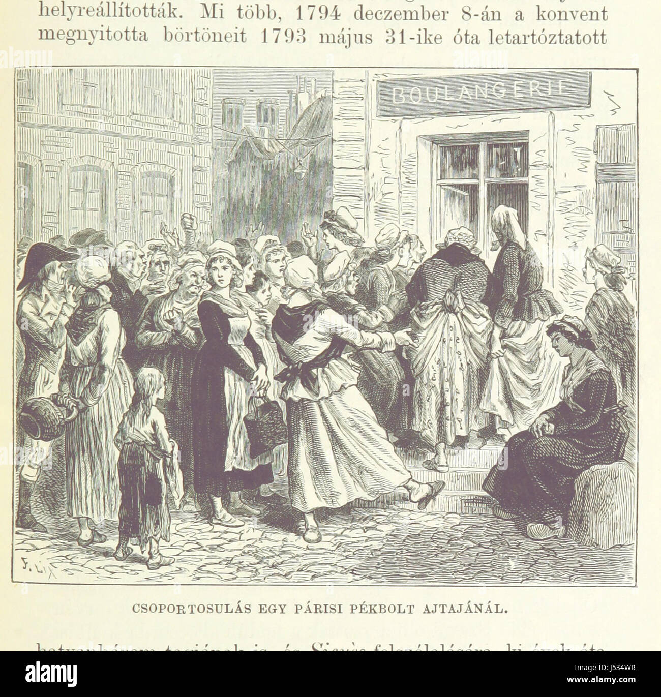 Findings illustrated hi-res stock photography and images - Alamy