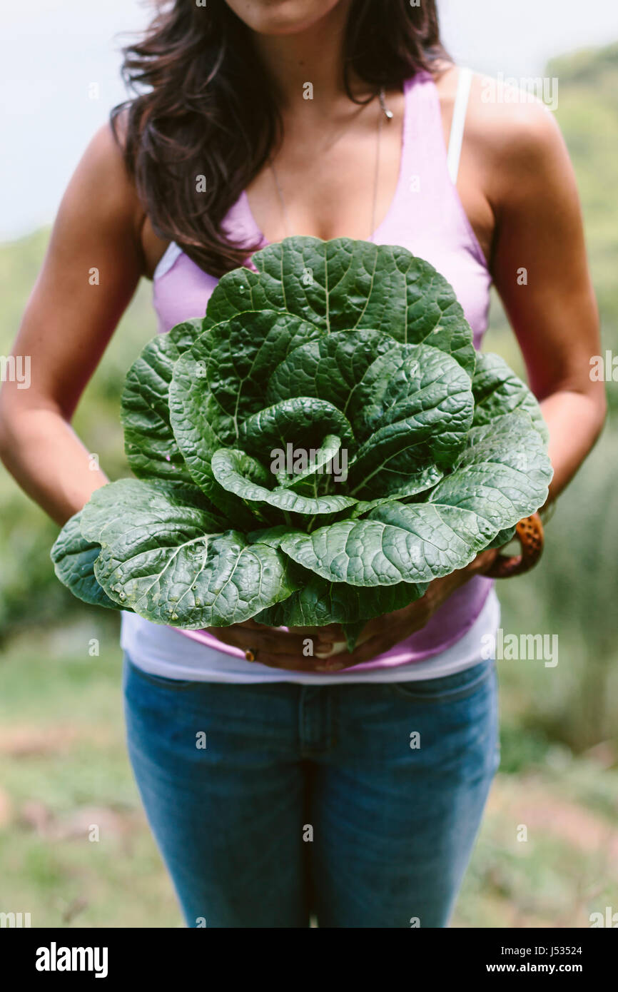 A woman is photographed with a freshly picked bok choi in her hand ...