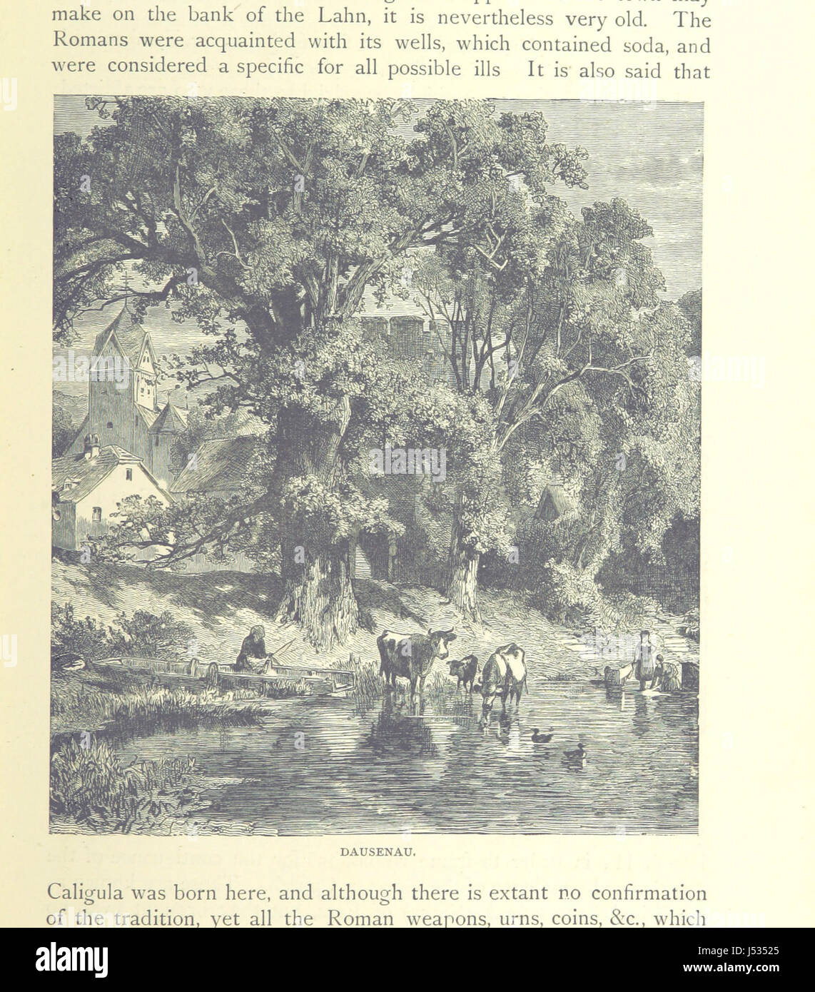 'The Rhine, from its source to the sea' is a detailed exploration of ...