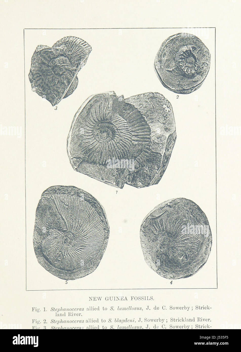 An image from page 269 of 'British New Guinea' which provides visual ...