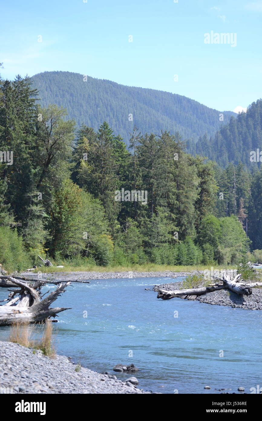Washington olympic peninsula river hi-res stock photography and images ...