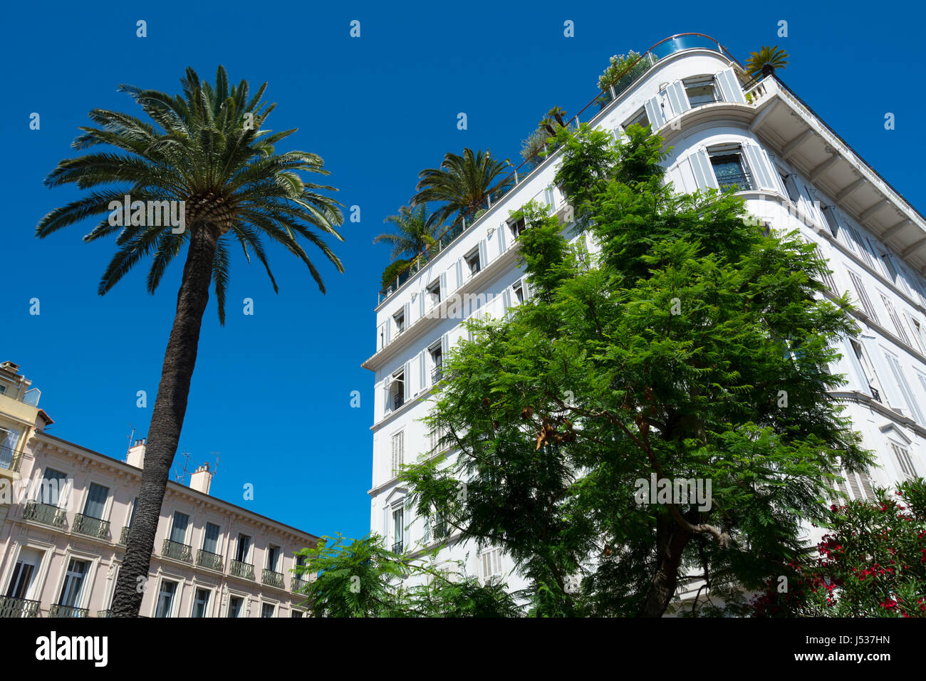Cannes palm trees and luxury seafront building on French Riviera Stock ...