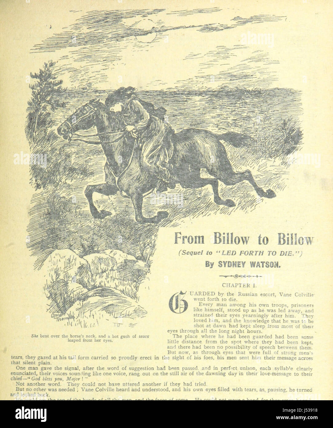 This book or collection of stories aims to captivate a wide audience by ...