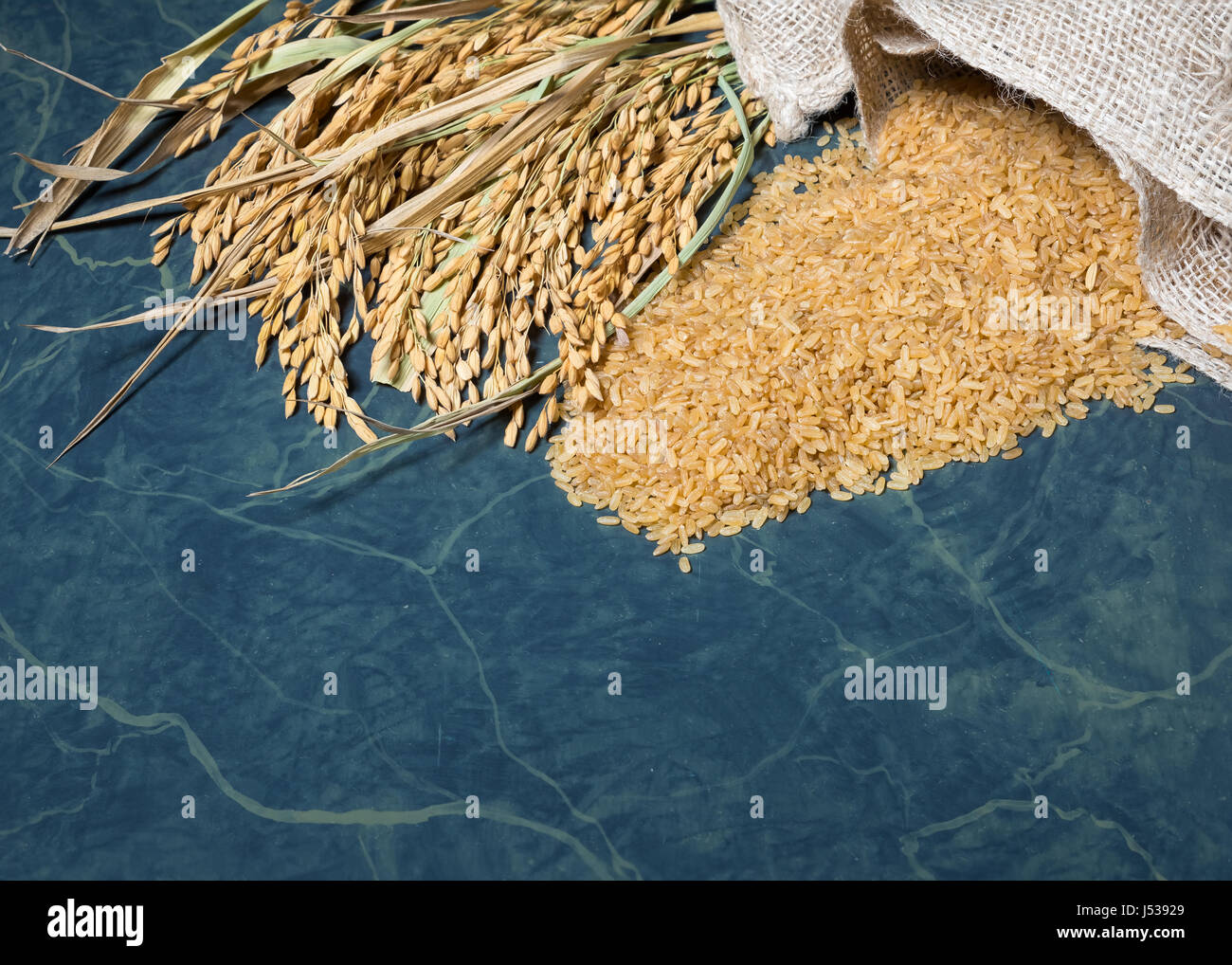 Brown rice uncooked in a bag with a pile of brown rice and spike rice ...