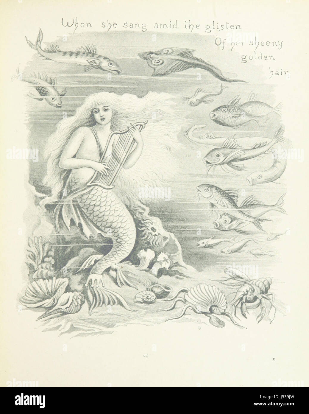 The Story of the Mermaiden. Adapted from the German of Hans Andersen ...