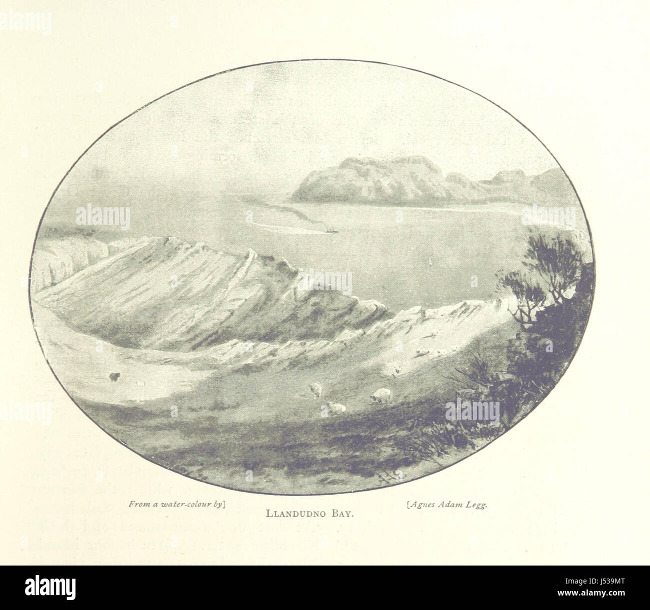 Welsh Pictures drawn with Pen and Pencil ... Edited by R. Lovett, with ...