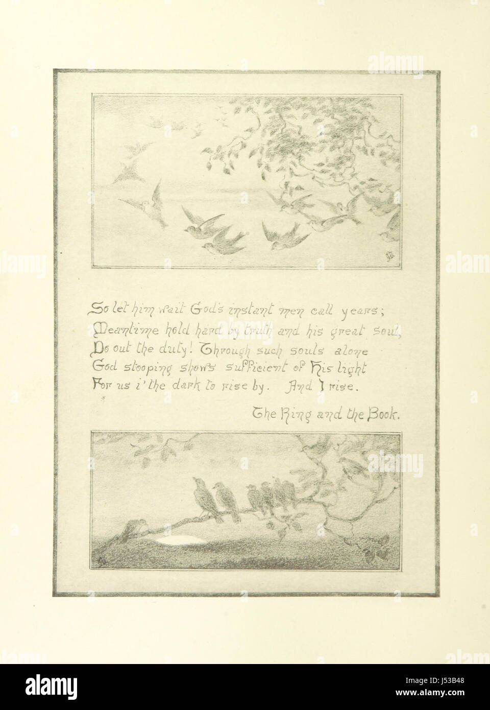 Brownings the hi-res stock photography and images - Alamy