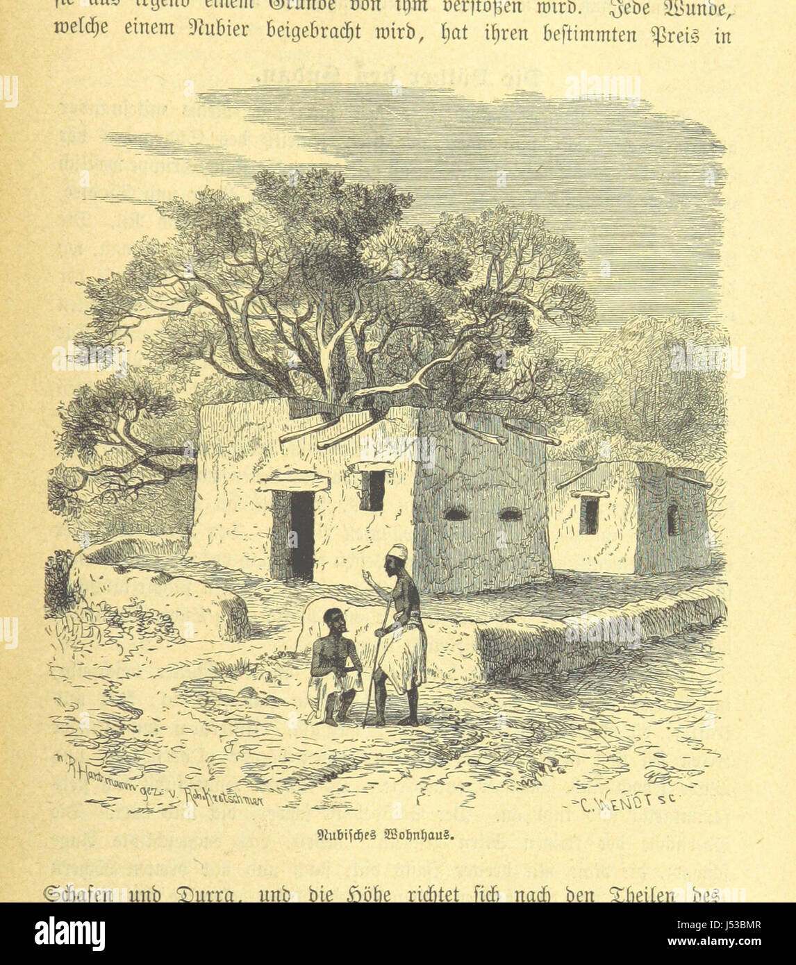 Der Mensch und seine Rassen. Mit ... Illustrationen Stock Photo - Alamy