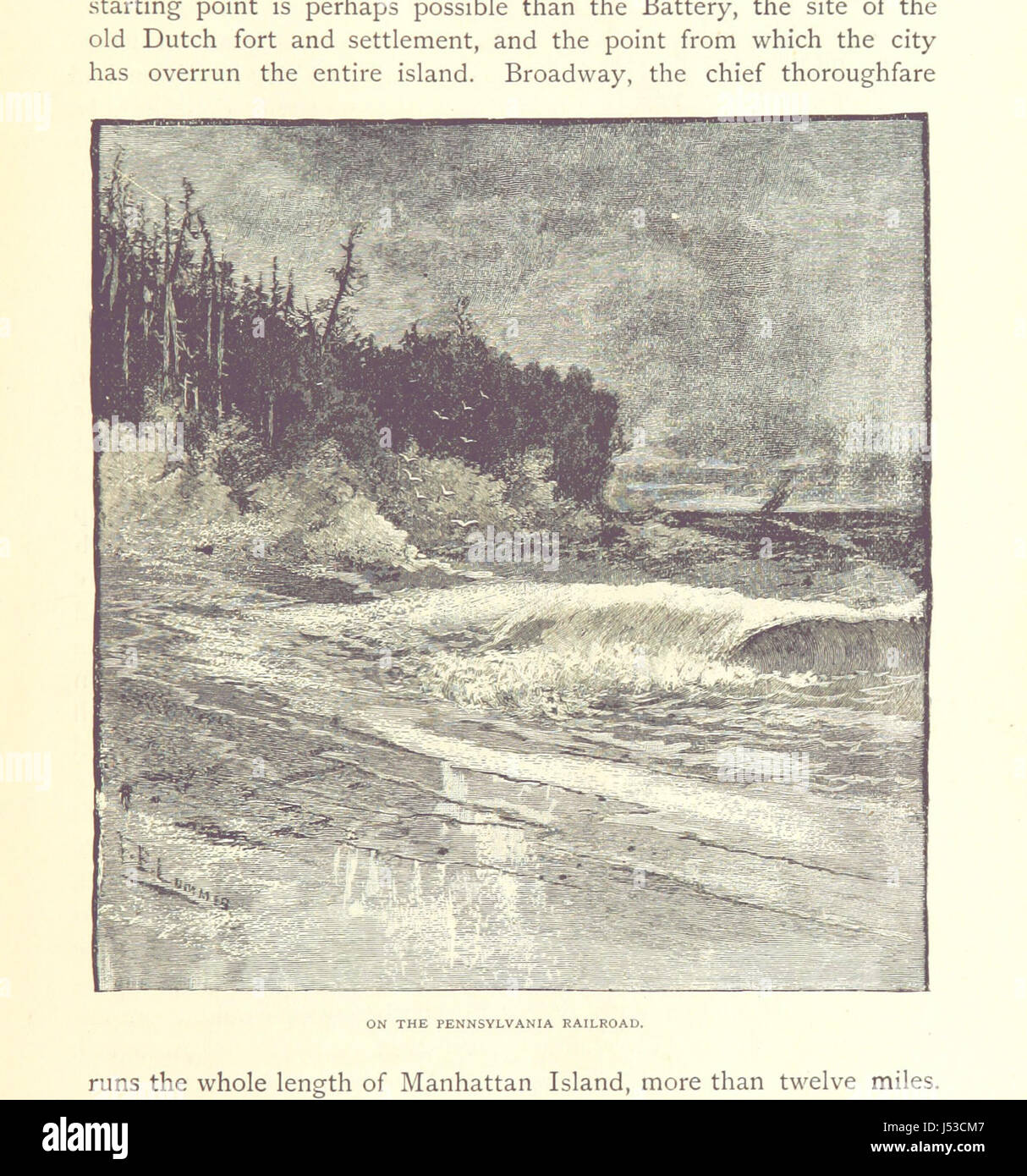 This illustrated guide offers a detailed overview of the 1893 World's ...