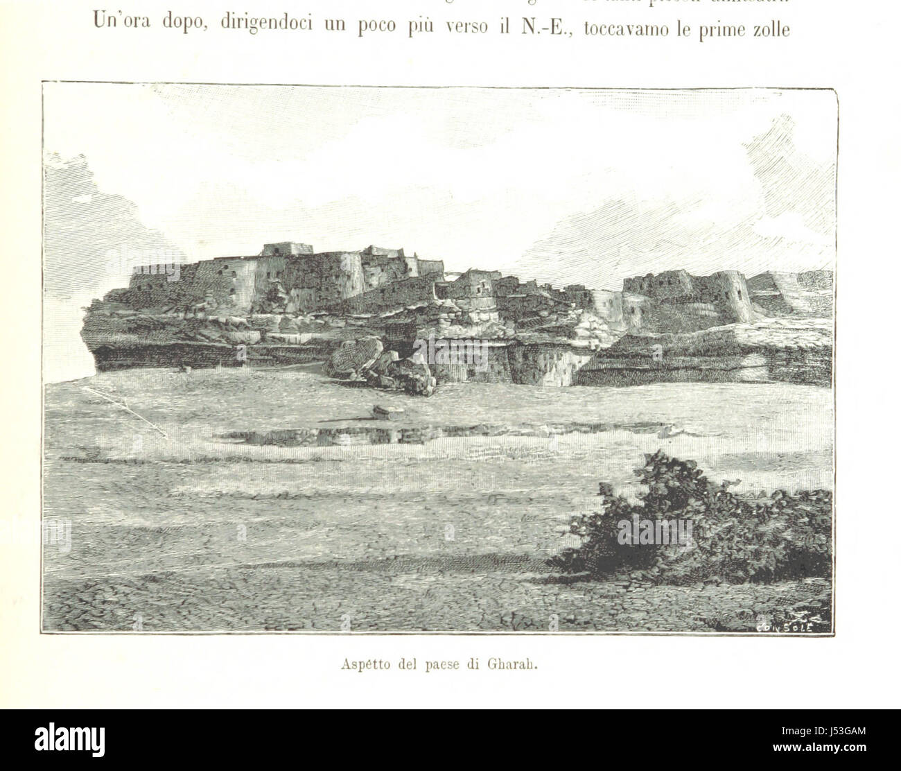 'All'Oasi di Giove Ammone' is an Italian travel book that explores the ...