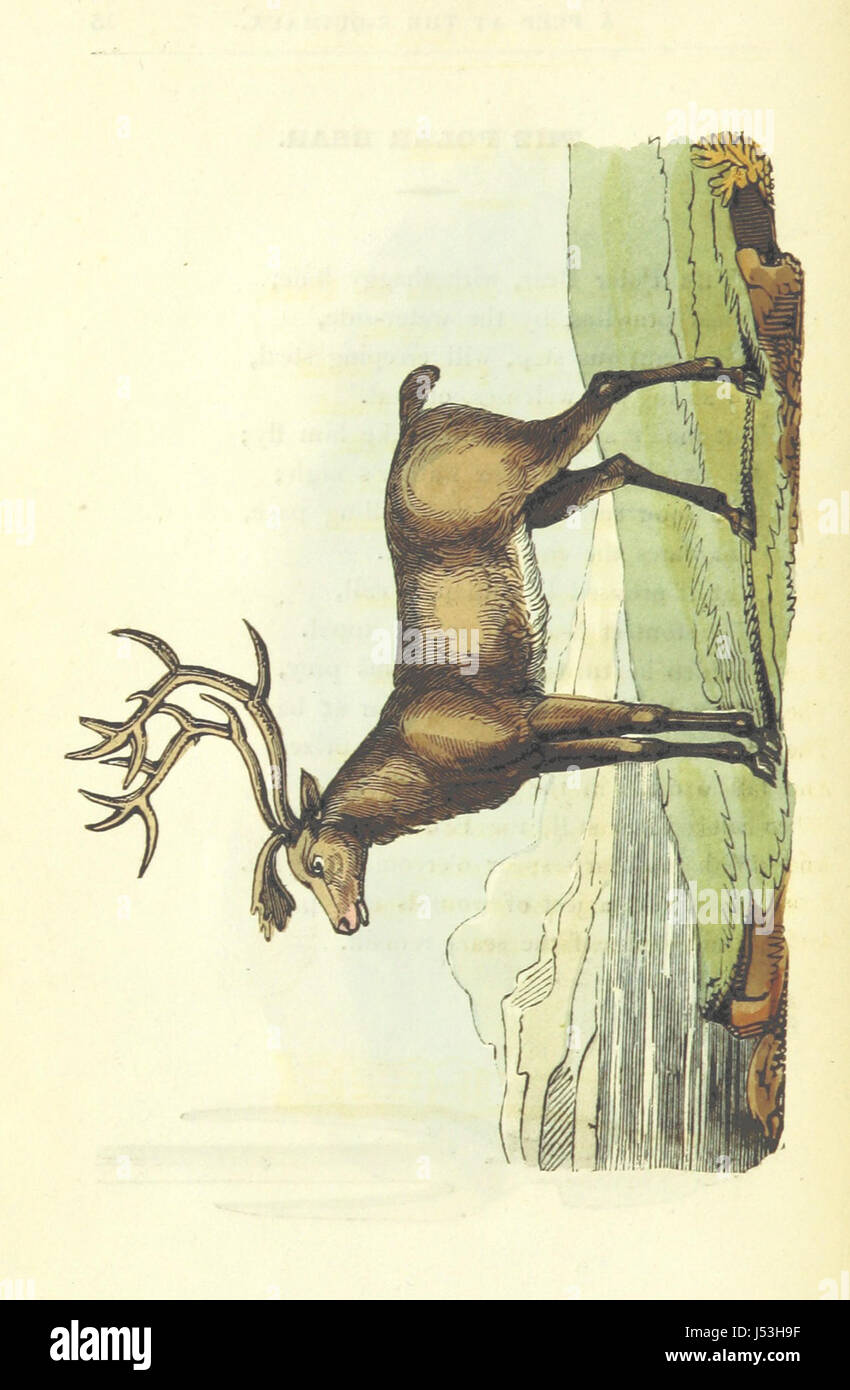 *A Peep at the Esquimaux* presents scenes from Arctic life, focusing on ...