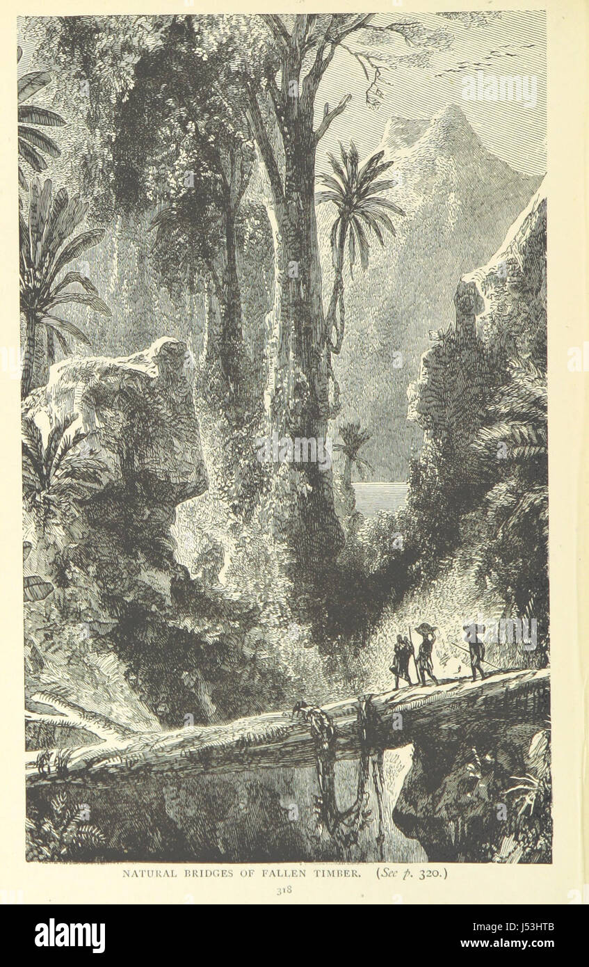 This book details the history of Central Africa, focusing on the early ...