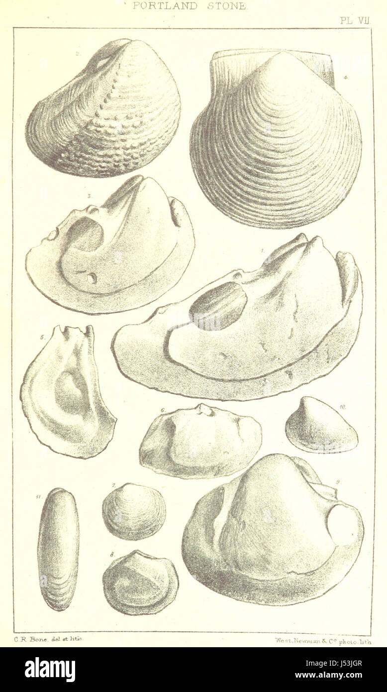 A Supplement to the Geology of Weymouth and the Isle of Portland ...