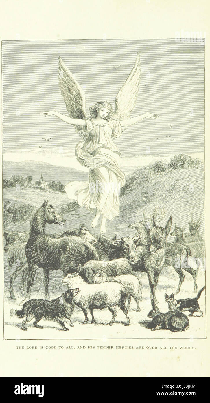 Reciter hi-res stock photography and images - Alamy