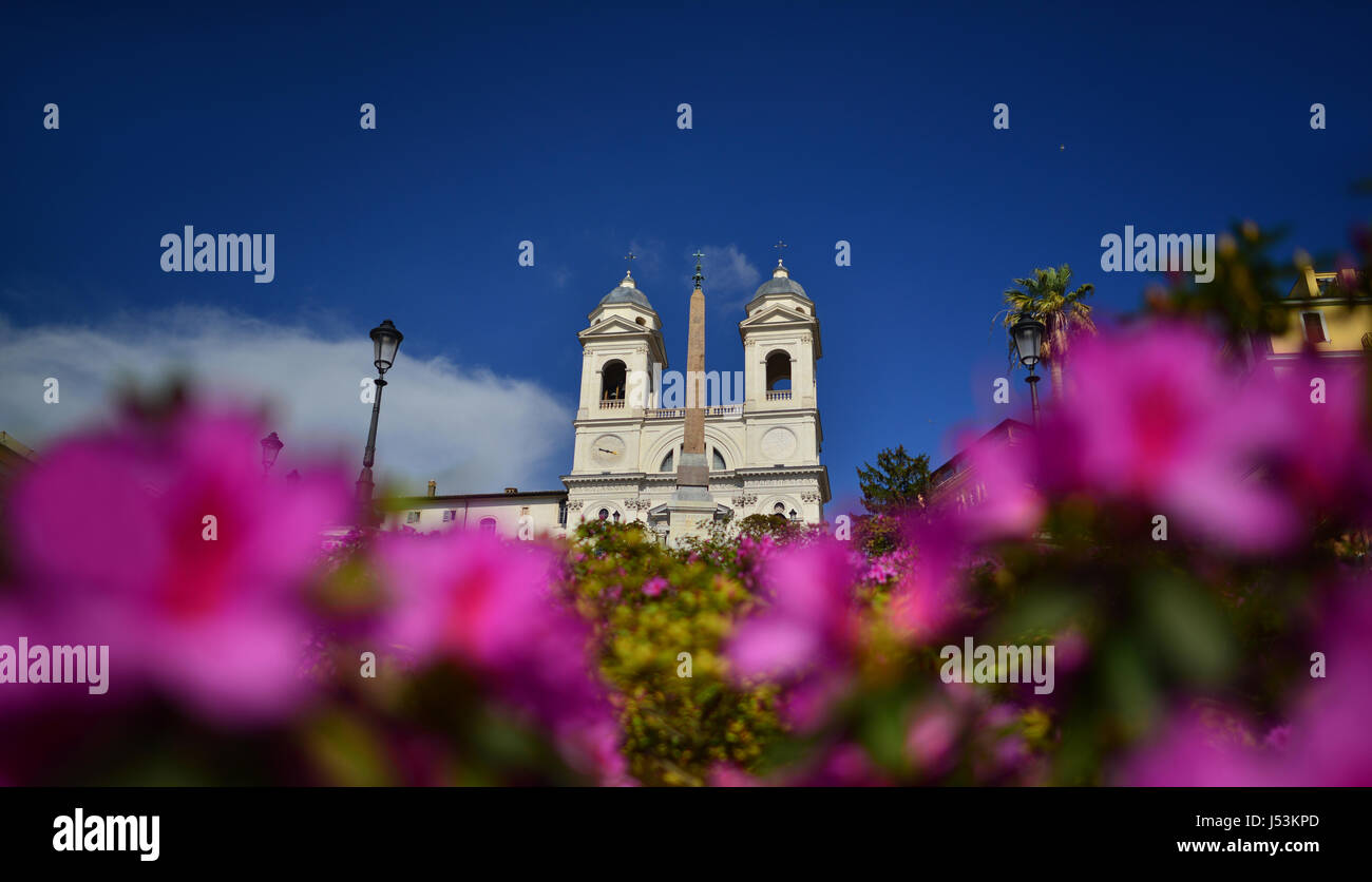 Spanish Steps full of rhododendron flowers for Roman Spring and Trinity ...