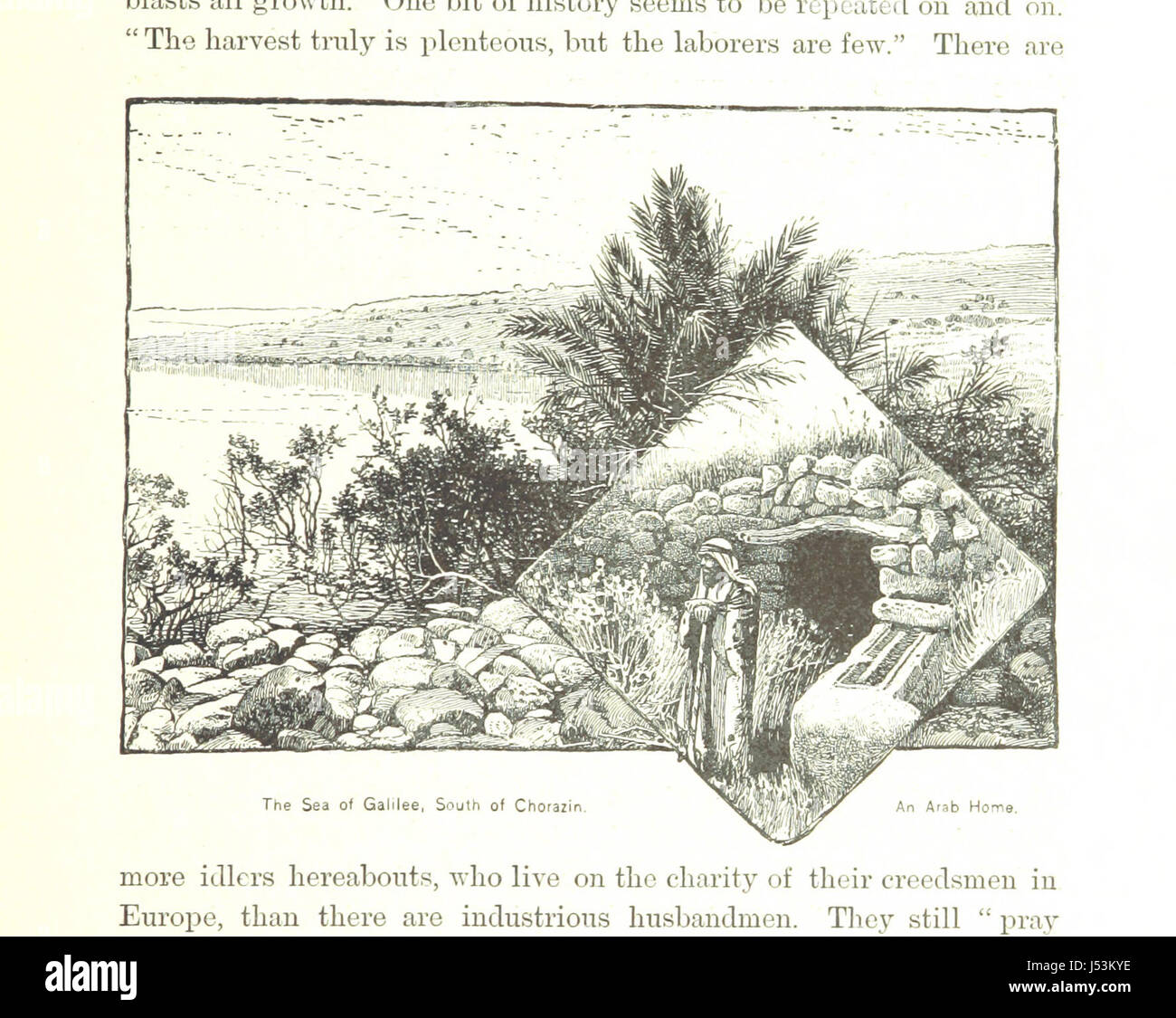 The image from page 359 of 'In Scripture Lands' presents a visual ...